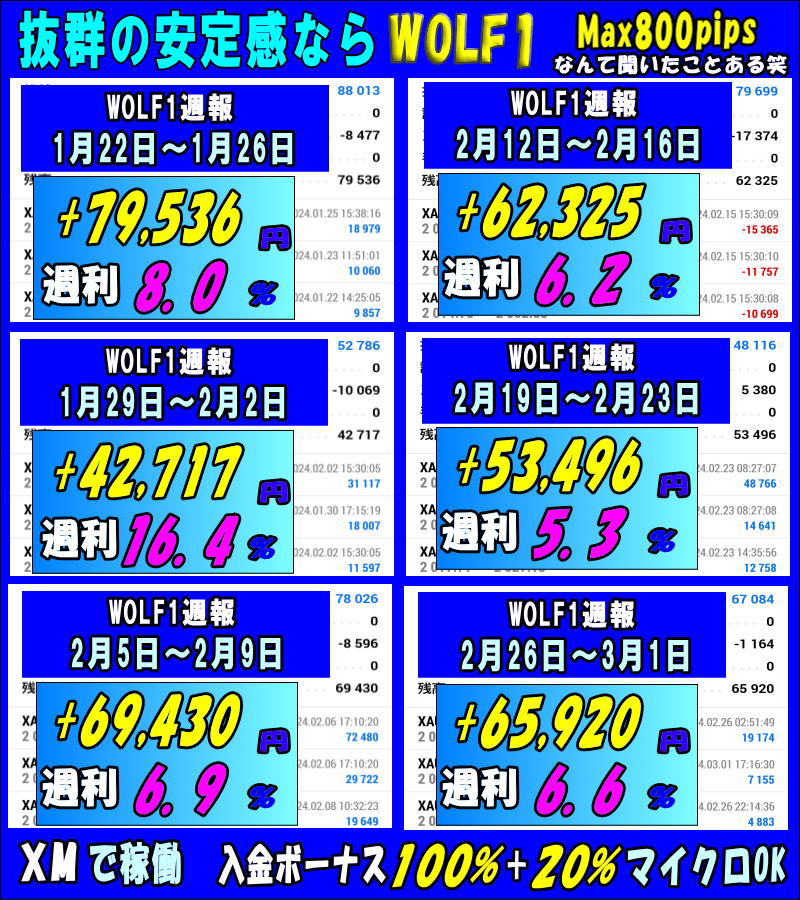ウルフ（Wolf） FX自動売買EAの詳細レビュー・実績と始め方 | 初心者でもらくらくFX生活